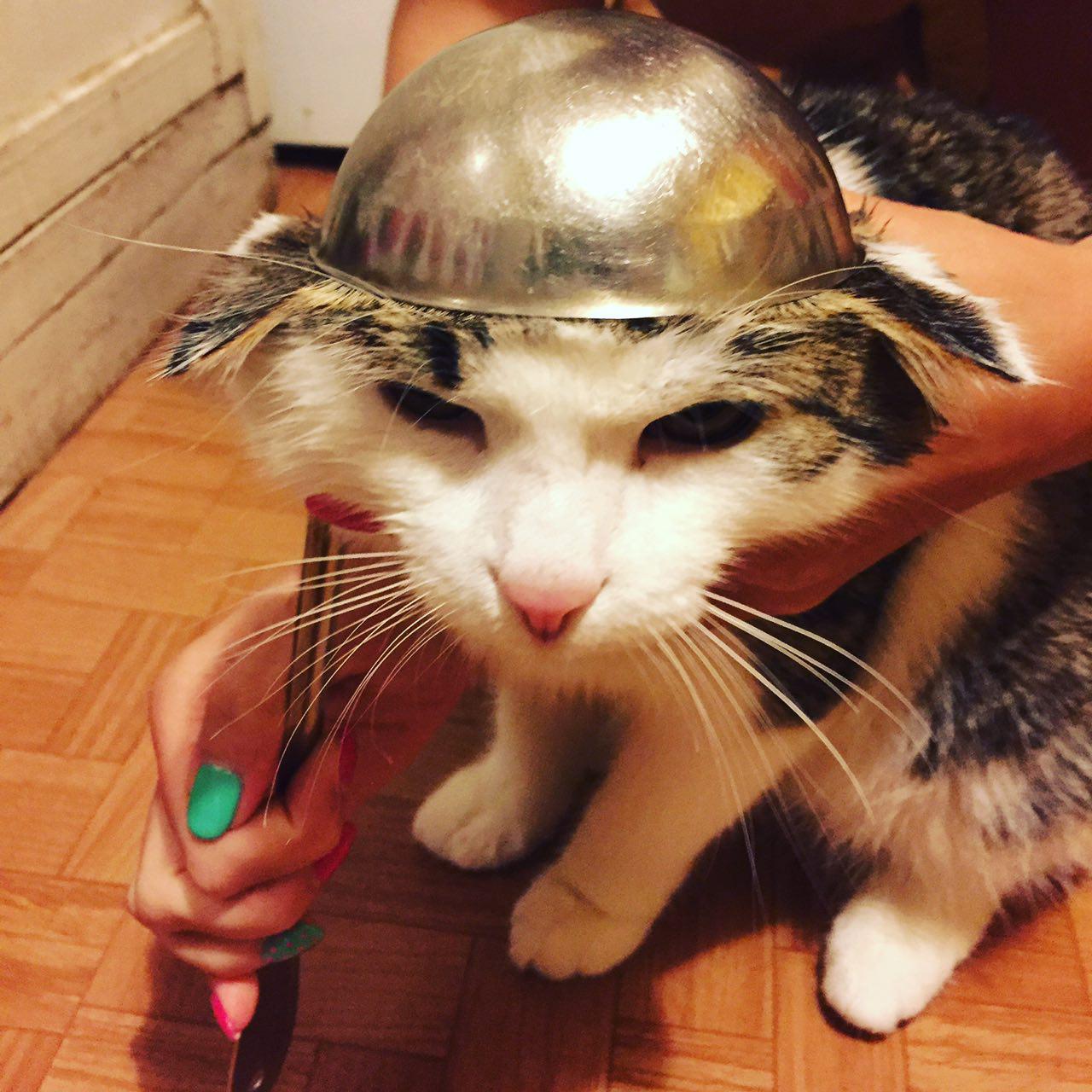 Steam Community :: :: Happy NY & m.xmas!